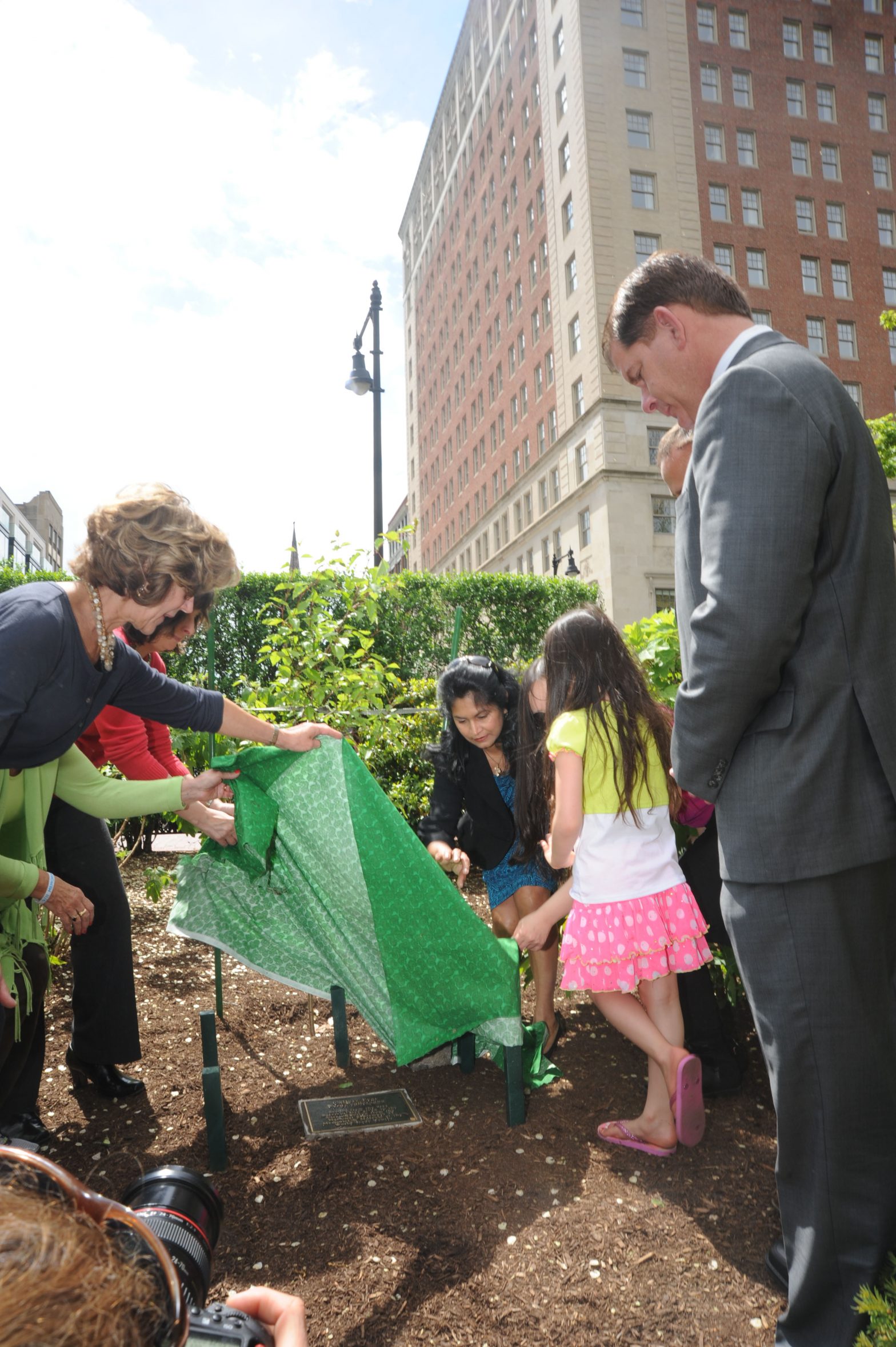 Planting of Survivor Tree Sapling in Boston - Tree Topics