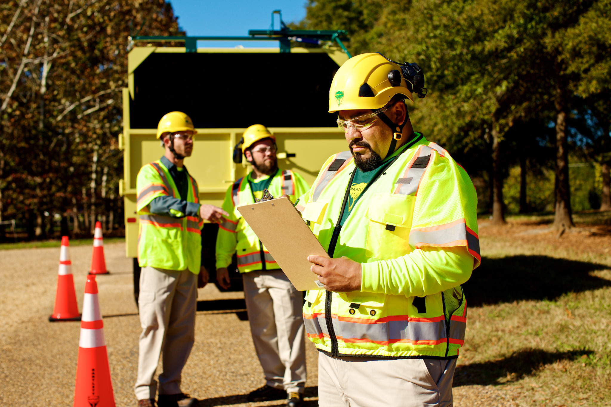 Why You Need Both A Landscaper And An Arborist Tree Topics