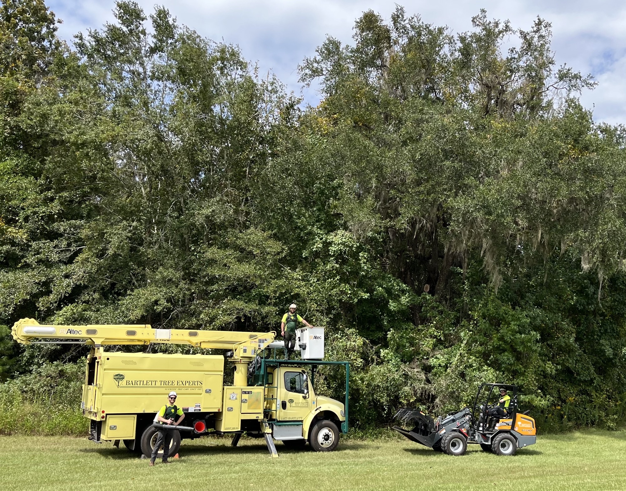 Saluting branches: Volunteering to honor veterans - Tree Topics