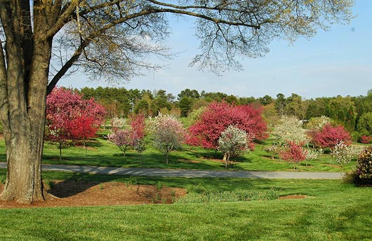 Bartlett Tree Experts