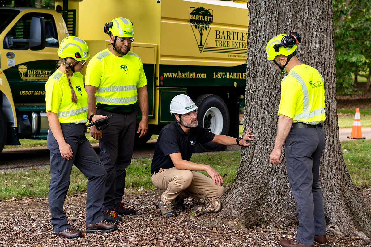 Bartlett Tree Experts