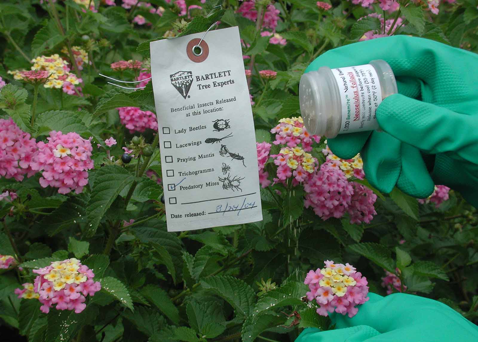 Bartlett Tree Experts: Plant Health and Pathology