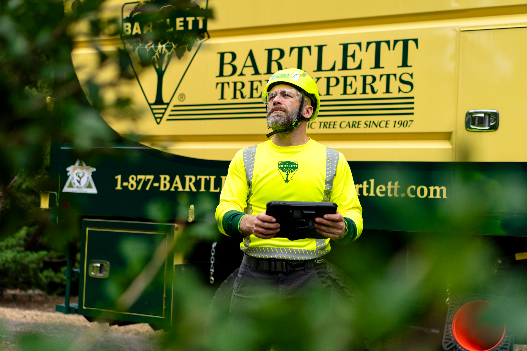 Amazing Bartlett Tree Experts Reviews Gallery
