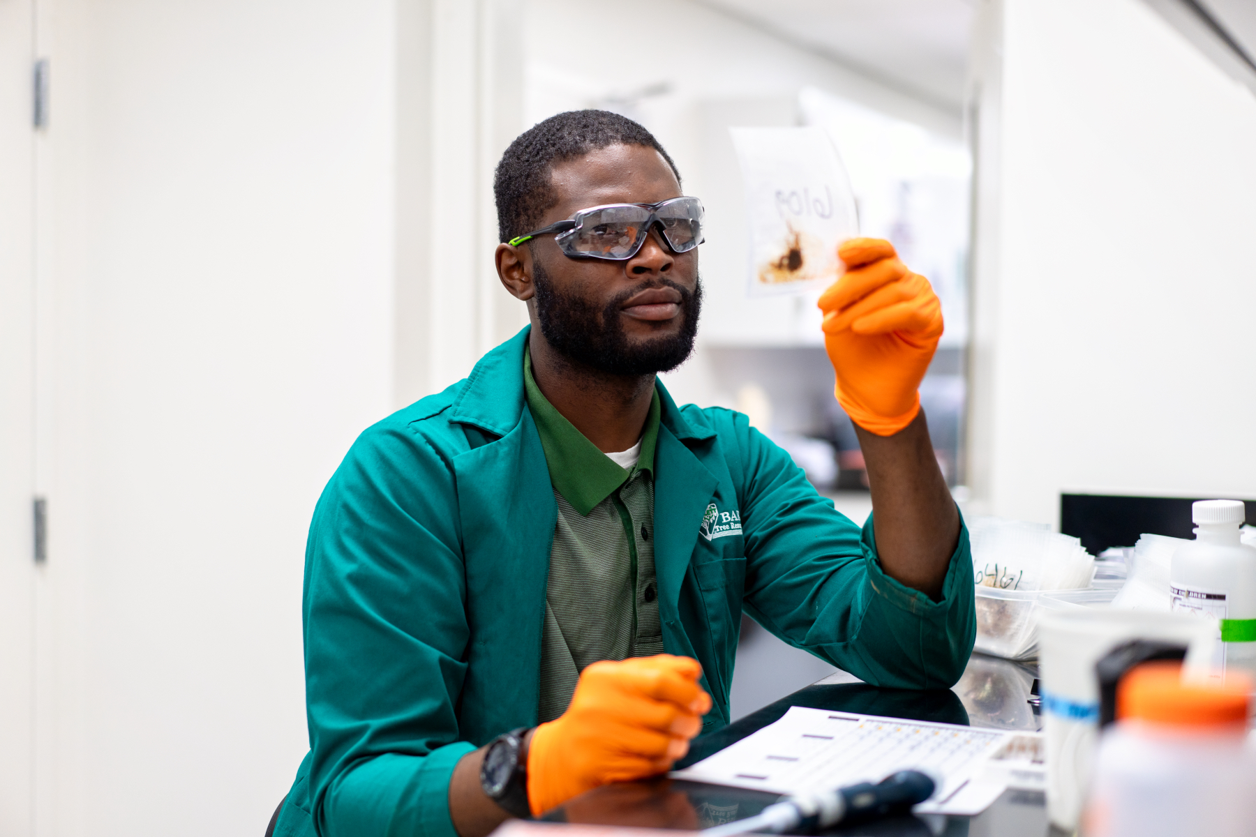 Bartlett Tree Experts