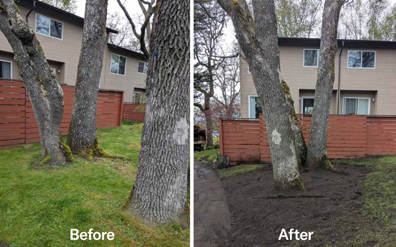 Bartlett Tree Experts