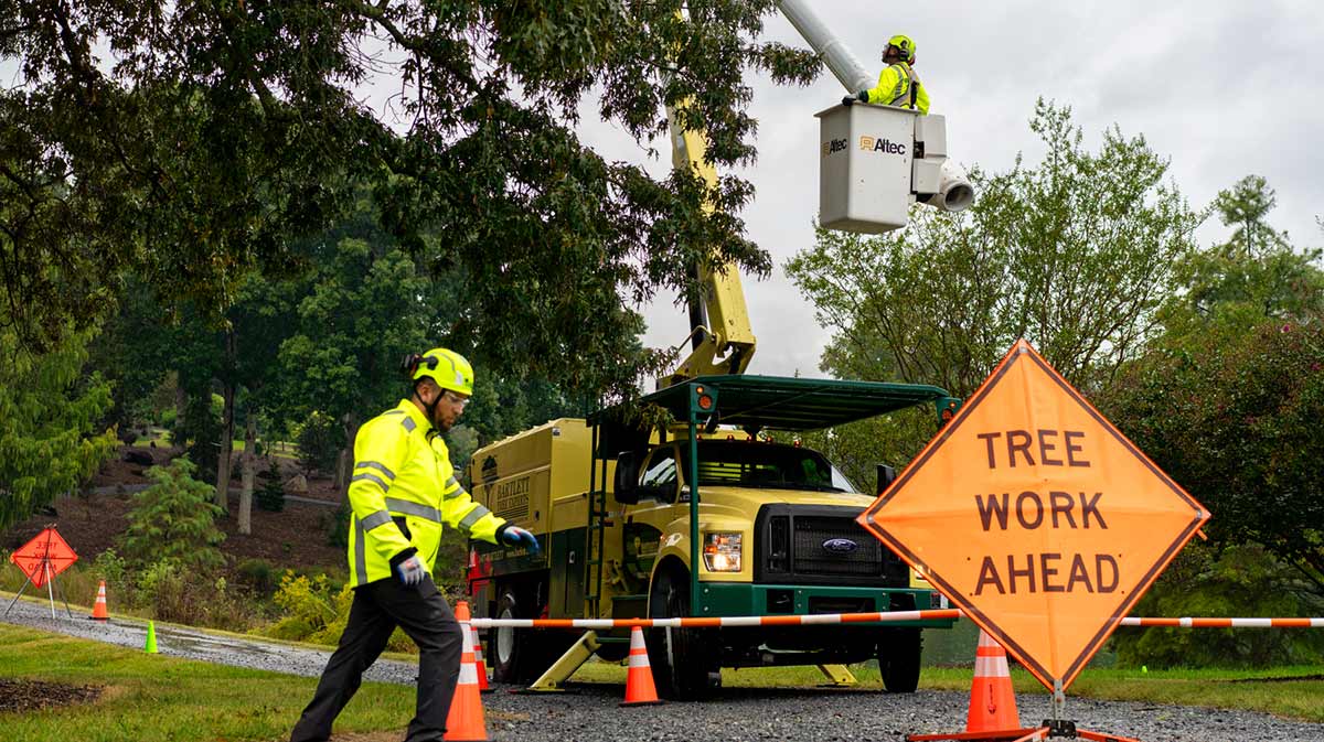 Bartlett Tree Experts: Tree Removal