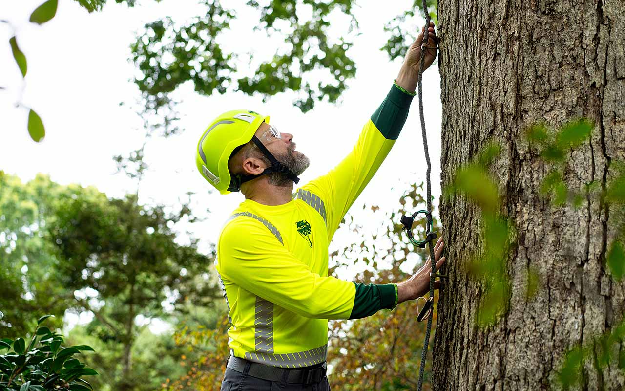 Bartlett Tree Experts