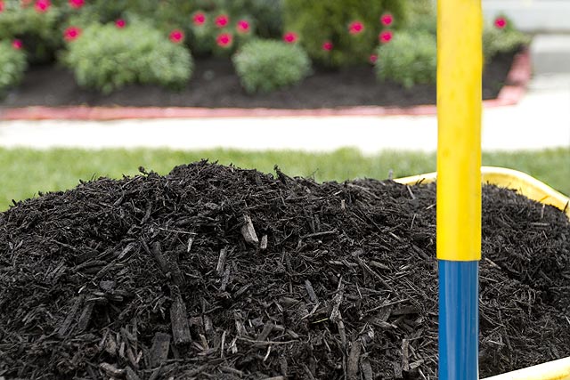 Bartlett Tree Experts: Fertilization And Soil Care