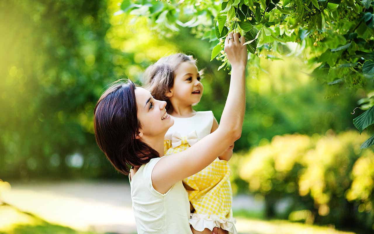Tree Service and Shrub Care in Lake Geneva | Bartlett