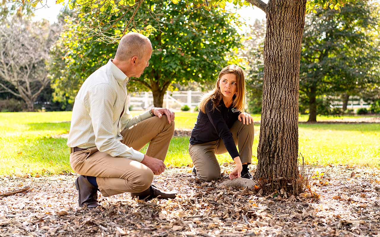 Bartlett Tree Experts