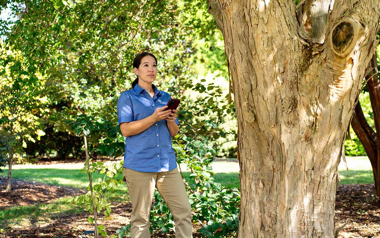 Bartlett Tree Experts