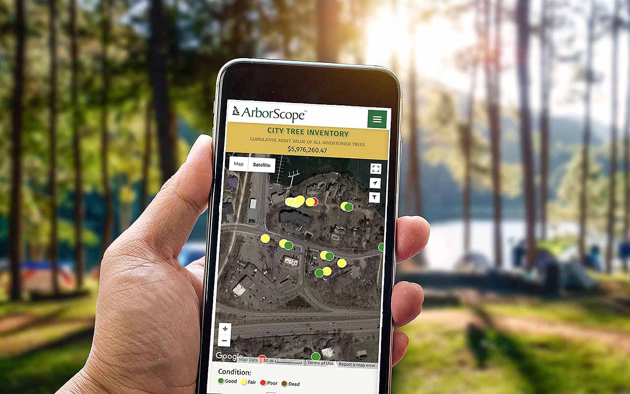 Bartlett Tree Experts