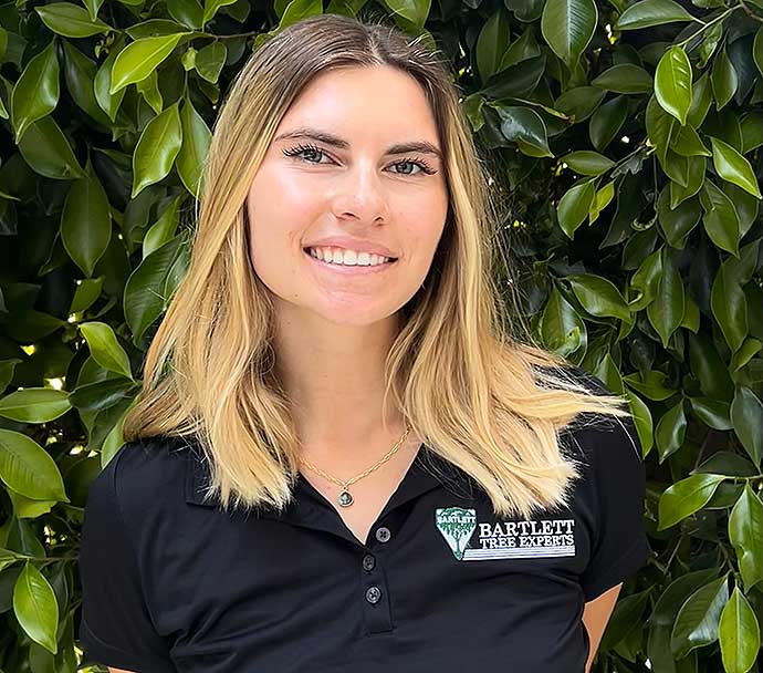 Tree Service and Shrub Care in San Diego, CA | Bartlett